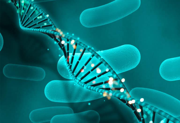 The role of genetics in the reproductive process | PGD Labs Kuwait